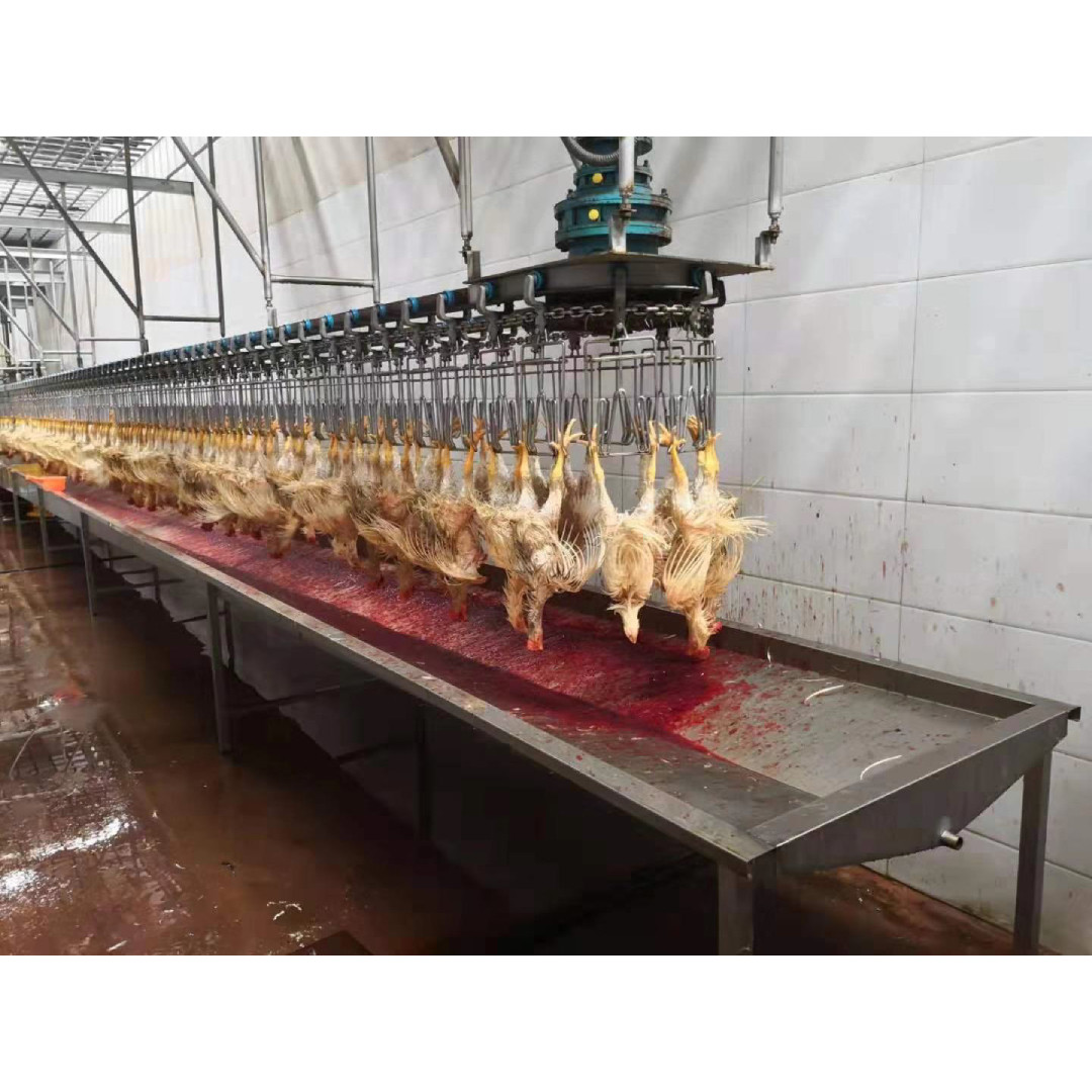 ISO9001 CE Full Automatic Poultry Slaughtering Line Automatic Chicken ...