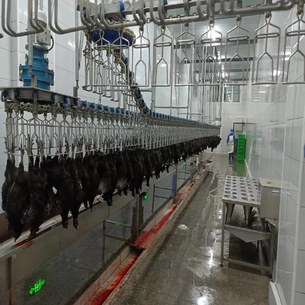 Streamlined Semi Auto Slaughter Machine Small Scale Poultry Processing ...