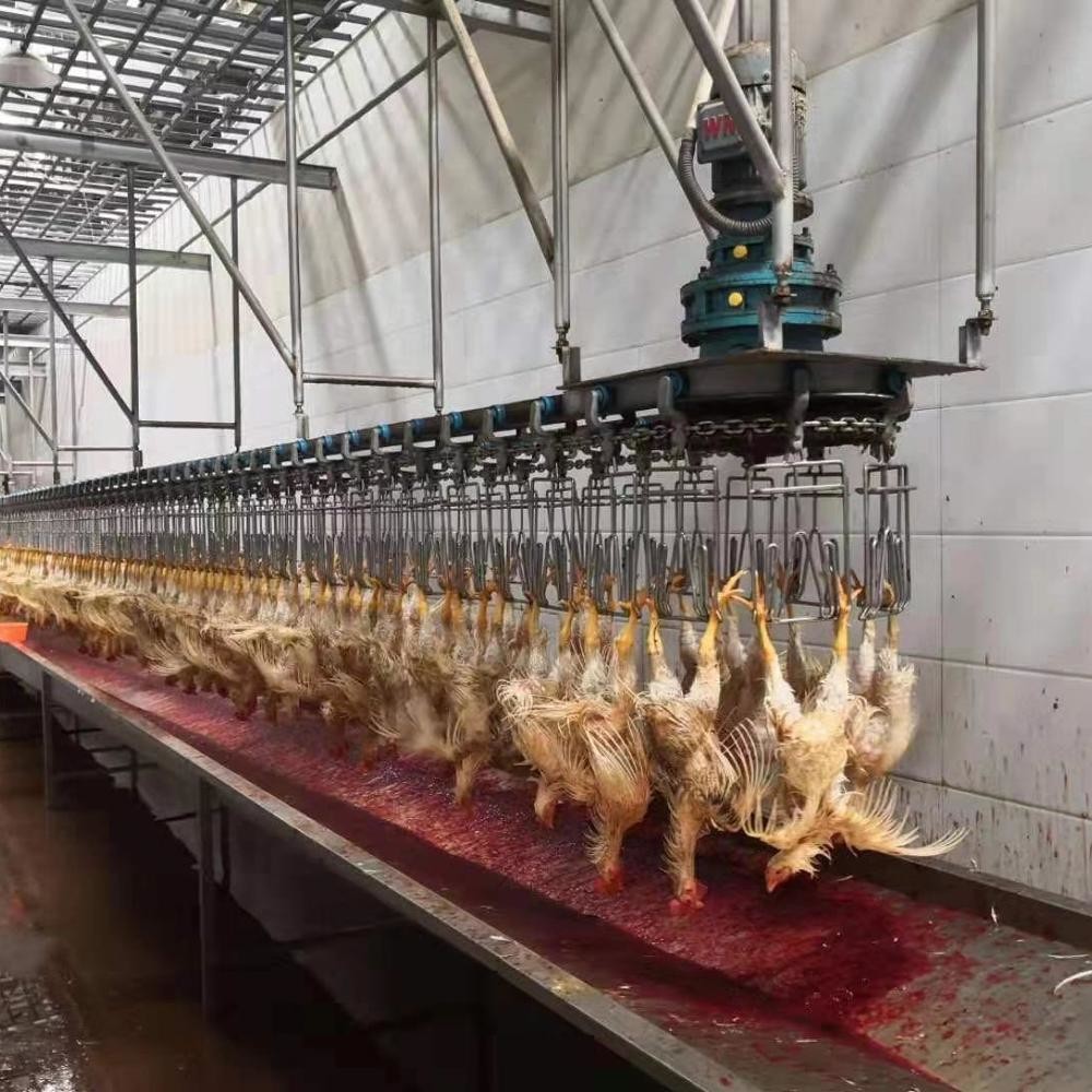 Automatic Poultry Scalder Machine stainless steel 304 Poultry ...