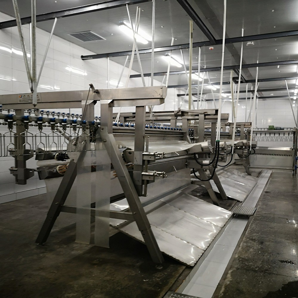 Customized Livestock Slaughtering System For High Capacity Of 500-1000 ...