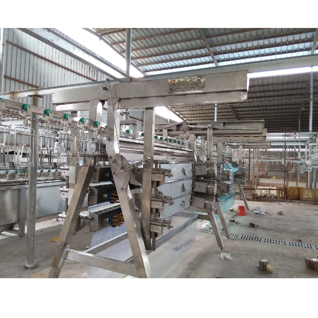 2000BPH Poultry Butchering Equipment SS 304 Automatic Chicken Slaughter ...