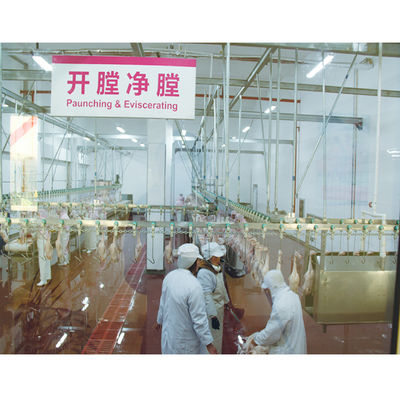 Automatic Poultry Farm Machinery Duck Turkey Chicken Slaughter Bleeding ...
