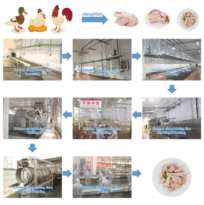 Complete Chicken Turnkey Automatic Poultry Processing Plant Customized For Farms