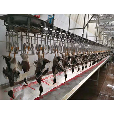 Customized Automatic Halal Poultry Slaughtering Equipment For Chicken ...