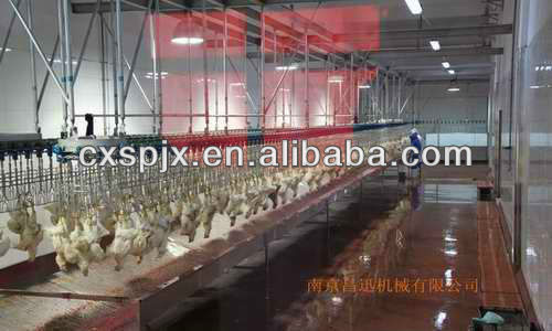 Heavy Duty SS Poultry Abattoir Equipment Large Scale Slaughtering ...