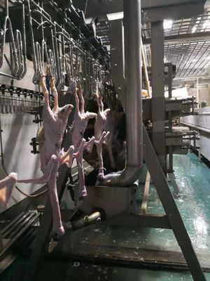 2000BPH Poultry Butchering Equipment SS 304 Automatic Chicken Slaughter ...